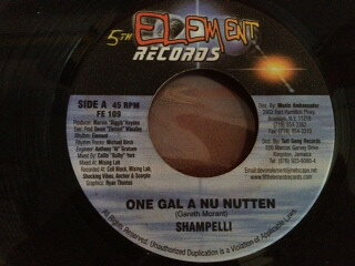・アーティスト Shampelli ・タイトル One Gal A Nu Nutten ・レーベル・型番 5th Element Records FE109 ・フォーマット 7インチレコード ・コンディション(盤) 良い (VG+) ・コン...