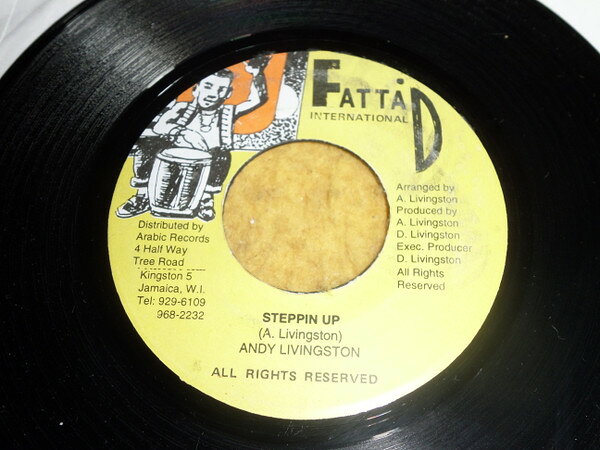 ・アーティスト Andy Livingston ・タイトル Steppin Up ・レーベル・型番 Fatta D International NONE ・フォーマット 7インチレコード ・コンディション(盤) 良い (VG+) ・コンディ...
