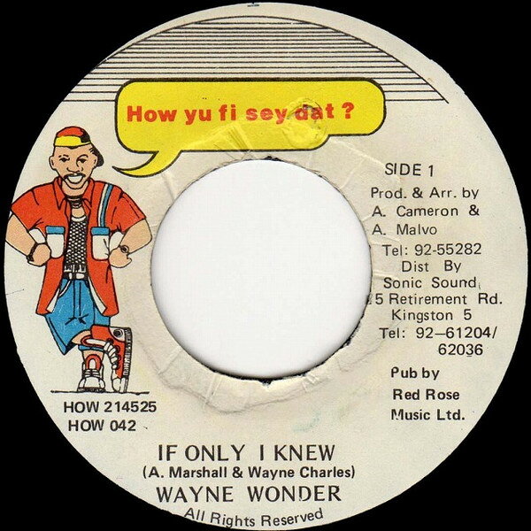 ・アーティスト Wayne Wonder ・タイトル If Only I Knew ・レーベル・型番 How Yu Fi Sey Dat ? HOW042 ・フォーマット 7インチレコード ・コンディション(盤) 良い (VG+) ・コンデ...