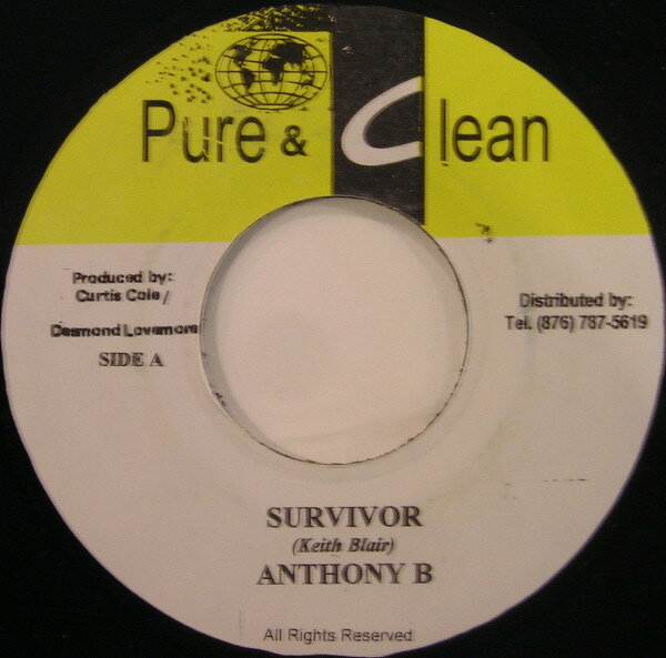 ・アーティスト Anthony B ・タイトル Survivor ・レーベル・型番 Pure & Clean NONE ・フォーマット 7インチレコード ・コンディション(盤) 良い (VG+) ・コンディション(ジャケット) ・コンディシ...