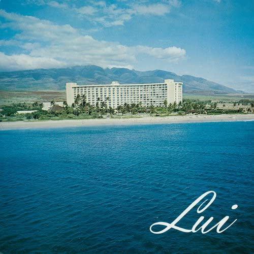 ・アーティスト ルイ ・タイトル Lui ・レーベル・型番 Apres-Midi Records RCIP0142 ・フォーマット CD ・コンディション(盤) 非常に良い(EX) ・コンディション(ジャケット) ・コンディション(帯) オ...