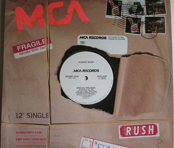・アーティスト Eugene Wilde ・タイトル Special Feelings ・レーベル・型番 MCA Records MCA8P2339 ・フォーマット 12インチレコード ・コンディション(盤) 良い (VG+) ・コンディシ...