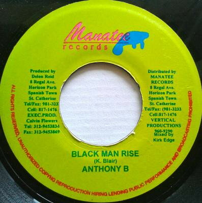 ・アーティスト Anthony B ・タイトル Black Man Rise ・レーベル・型番 Manatee Records (2) NONE ・フォーマット 7インチレコード ・コンディション(盤) 良い (VG+) ・コンディション(...