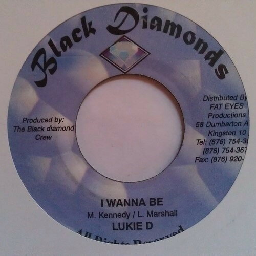 ・アーティスト Lukie D ・タイトル I Wanna Be ・レーベル・型番 Black Diamonds NONE ・フォーマット 7インチレコード ・コンディション(盤) 良い (VG+) ・コンディション(ジャケット) ・コンデ...