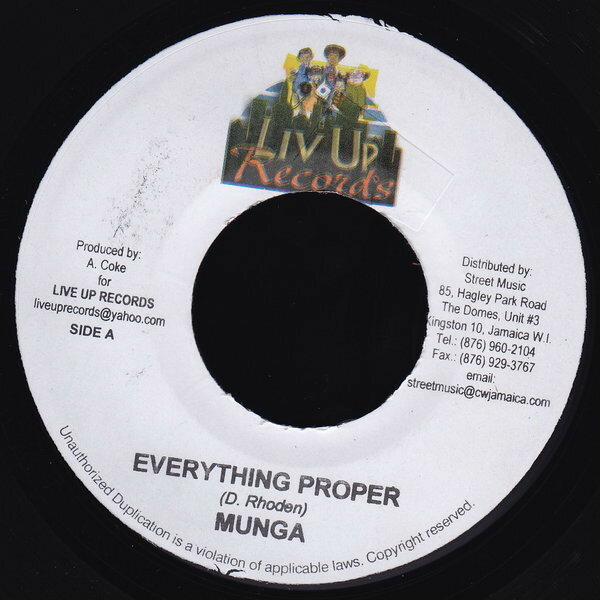 ・アーティスト Munga / Einstein ・タイトル Everything Proper / Jump Up ・レーベル・型番 Liv Up Records NONE ・フォーマット 7インチレコード ・コンディション(盤) 良い ...