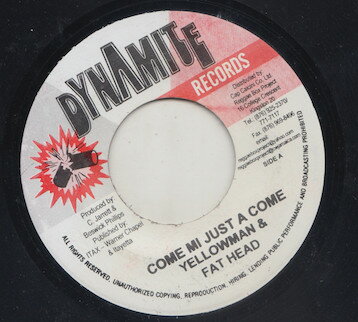 ・アーティスト Yellowman & Fathead ・タイトル Come Mi Just A Come ・レーベル・型番 Dynamite Records none ・フォーマット 7インチレコード ・コンディション(盤) 良い (VG...
