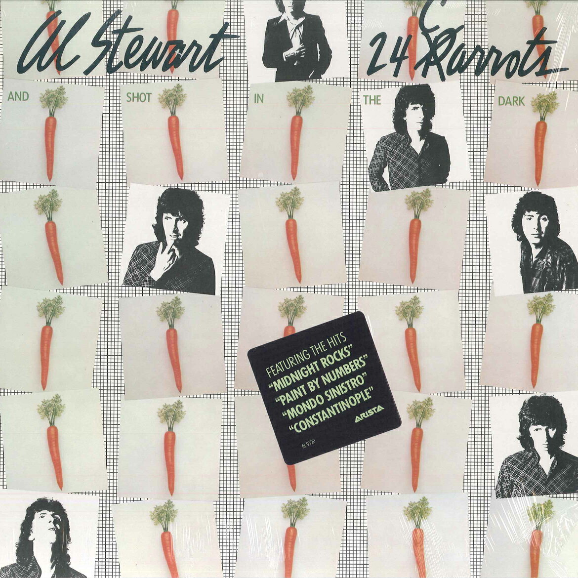 ・アーティスト Al Stewart ・タイトル 24 Carrots ・レーベル・型番 ARISTA AL9520 ・フォーマット LPレコード ・コンディション(盤) 良い (VG+) ・コンディション(ジャケット) 良い (VG+) ...