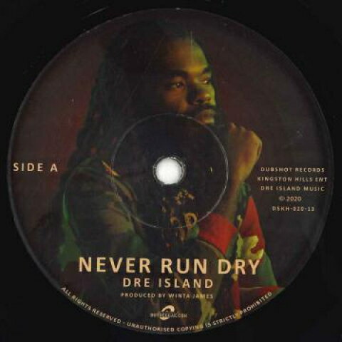 ・アーティスト Dre Island ・タイトル Never Run Dry / Instrumental ・レーベル・型番 Dubshot/Buyreggae EU DSKH02013 ・フォーマット 7インチレコード ・コンディション(...