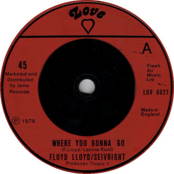・アーティスト Floyd Lloyd ・タイトル Where You Gonna Go / Yo-Yo ・レーベル・型番 Love LOV0027 ・フォーマット 7インチレコード ・コンディション(盤) 非常に良い(EX) ・コンディシ...