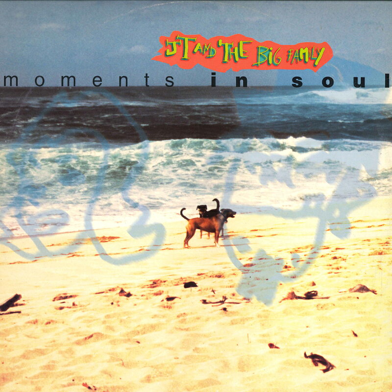・アーティスト J. T. & The Big Family ・タイトル Moments In Soul ・レーベル・型番 NEW MEAL POWER MP163 ・フォーマット 12インチレコード ・コンディション(盤) 良い (VG+...