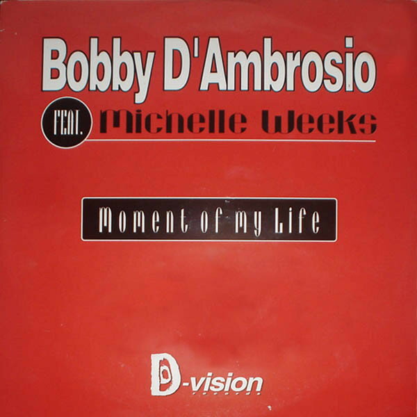 ・アーティスト Bobby D'Ambrosio, Michelle Weeks ・タイトル Moment Of My Life ・レーベル・型番 D:vision Records DV174 ・フォーマット 12インチレコード ・コンディ...