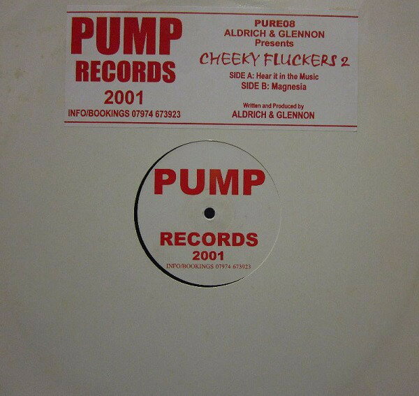 ・アーティスト Aldrich & Glennon ・タイトル Cheeky Fluckers 2 ・レーベル・型番 Pump Records PURE08 ・フォーマット 12インチレコード ・コンディション(盤) 良い (VG+) ・コ...