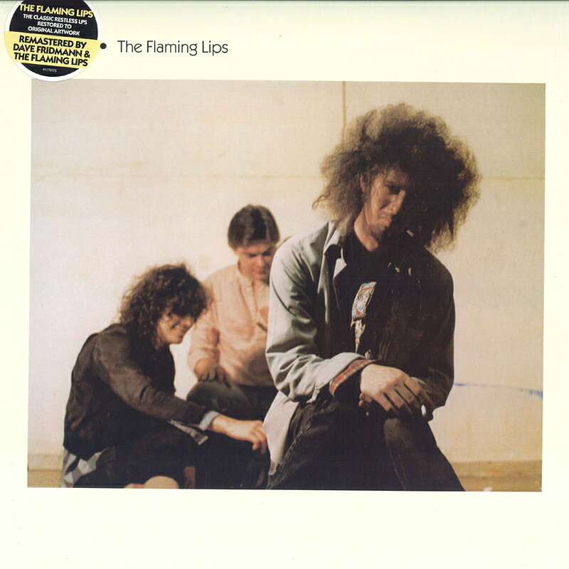 ・アーティスト Flaming Lips ・タイトル Hear It Is ・レーベル・型番 Restless Records R1772173 ・フォーマット LPレコード ・コンディション(盤) 新品 (M) ・コンディション(ジャケッ...