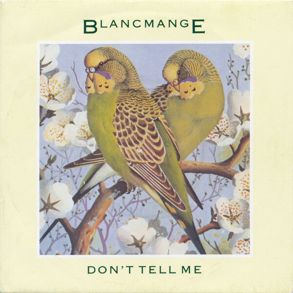 ・アーティスト Blancmange ・タイトル Don't' Tell Me ・レーベル・型番 LONDON RECORDS 8200357 ・フォーマット 7インチレコード ・コンディション(盤) 良い (VG+) ・コンディション(ジ...