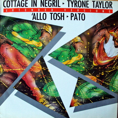 ・アーティスト Tyrone Taylor / Pato Banton ・タイトル Cottage In Negril / 'Allo Tosh ・レーベル・型番 Virgin VS80312 ・フォーマット 12インチレコード ・コンディ...