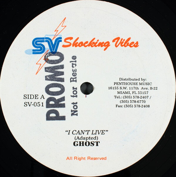 ・アーティスト Ghost / Lukie D ・タイトル I Can't Live / Lonely Guy ・レーベル・型番 Shocking Vibes SV051 ・フォーマット 12インチレコード ・コンディション(盤) 良い (...