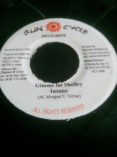 ・アーティスト Insane ・タイトル Gimme Fat Shelley ・レーベル・型番 Sun Cycle Records SCT008 ・フォーマット 7インチレコード ・コンディション(盤) 良い (VG+) ・コンディション(...