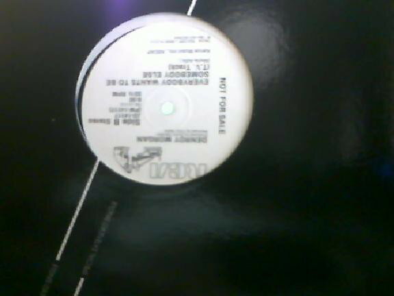 ・アーティスト Denroy Morgan ・タイトル Everybody Wants To Be Somebody Else ・レーベル・型番 RCA JD14117 ・フォーマット 12インチレコード ・コンディション(盤) 良い (V...