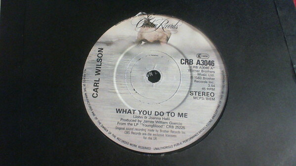 ・アーティスト Carl Wilson ・タイトル What You Do To Me ・レーベル・型番 Caribou Records CRBA3046 ・フォーマット 7インチレコード ・コンディション(盤) 良い (VG+) ・コンデ...