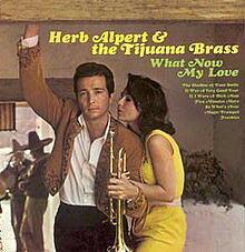 ・アーティスト Herb Alpert & The Tijuana Brass ・タイトル What Now My Love ・レーベル・型番 Pye International NSPL28077 ・フォーマット LPレコード ・コンディ...