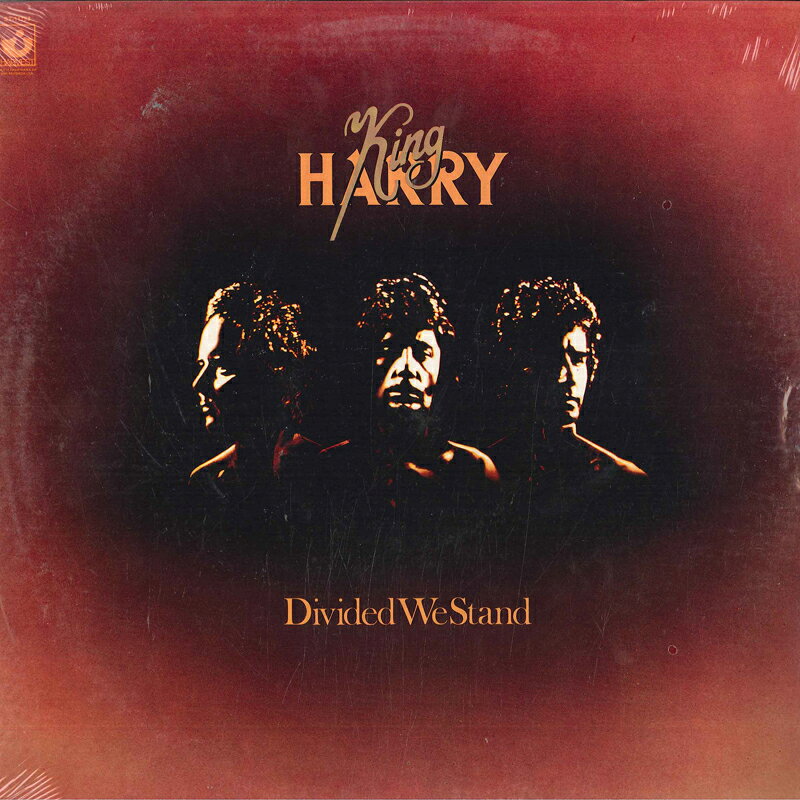 ・アーティスト King Harry ・タイトル Divided We Stand ・レーベル・型番 HARVEST ST11753 ・フォーマット LPレコード ・コンディション(盤) 新品 (M) ・コンディション(ジャケット) ・コン...