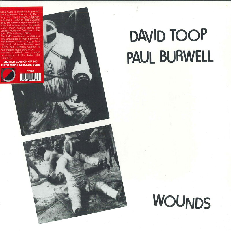 ・アーティスト David Toop / Paul Burwell ・タイトル Wounds ・レーベル・型番 ・フォーマット LPレコード ・コンディション(盤) 新品 (M) ・コンディション(ジャケット) ・コンディション(帯) オビ...