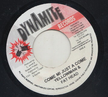 ・アーティスト Yellowman & Fathead ・タイトル Come Mi Just A Come ・レーベル・型番 Dynamite Records none ・フォーマット 7インチレコード ・コンディション(盤) 良い (VG...