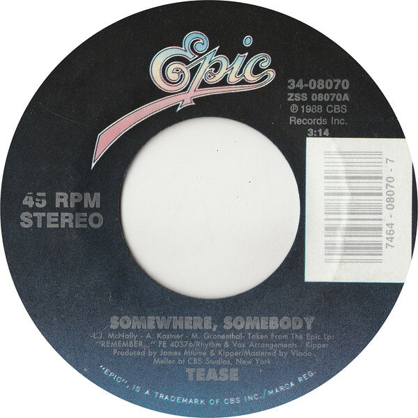 ・アーティスト Tease ・タイトル Somewhere, Somebody ・レーベル・型番 Epic 3408070 ・フォーマット 7インチレコード ・コンディション(盤) 良い (VG+) ・コンディション(ジャケット) プレイン...