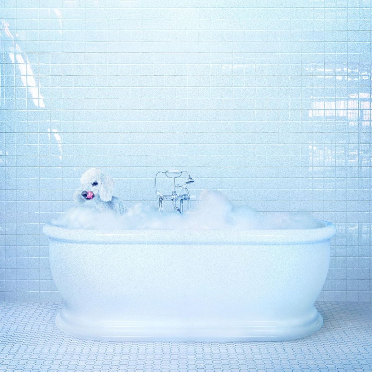 ・アーティスト Frankie Cosmos ・タイトル Vessel ・レーベル・型番 SUB POP SP1215 ・フォーマット CD ・コンディション(盤) ほぼ新品 (M-) ・コンディション(ジャケット) ・コンディション(帯)...