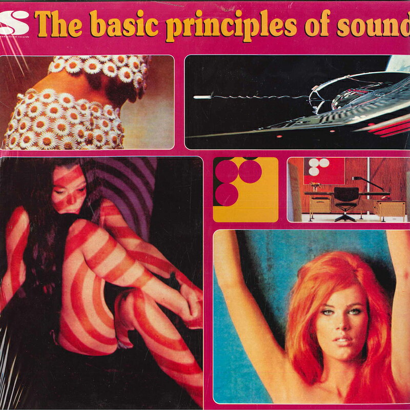 ・アーティスト Various ・タイトル Basic Principles Of Sound ・レーベル・型番 SOUNDSATIONAL SS001 ・フォーマット LPレコード ・コンディション(盤) 新品 (M) ・コンディション(...