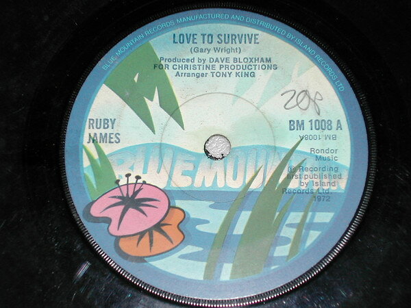 ・アーティスト Ruby James ・タイトル Love To Survive ・レーベル・型番 Blue Mountain BM1008 ・フォーマット 7インチレコード ・コンディション(盤) 良い (VG+) ・コンディション(ジャ...