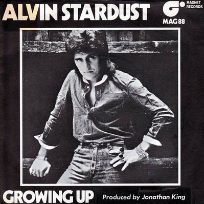 ・アーティスト Alvin Stardust ・タイトル Growin' Up ・レーベル・型番 Magnet MAG88 ・フォーマット 7インチレコード ・コンディション(盤) 可 (VG) ・コンディション(ジャケット) プレインカバ...