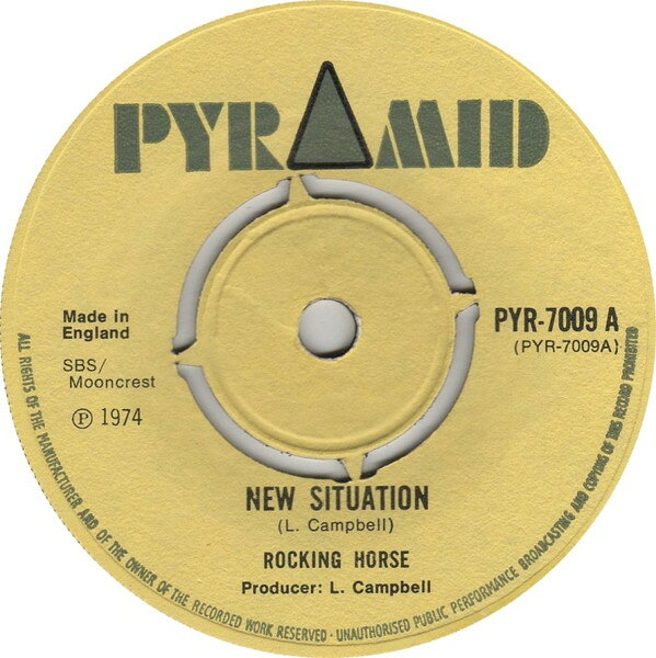 ・アーティスト Rocking Horse ・タイトル New Situation ・レーベル・型番 Pyramid PYR7009 ・フォーマット 7インチレコード ・コンディション(盤) 非常に良い(EX) ・コンディション(ジャケット...