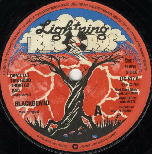 ・アーティスト Blackbeard ・タイトル Don't Let This Good Thing Go Bad / I Don't Want It ・レーベル・型番 LIGHTNING RECORDS LIG517PROMO ・フォーマ...