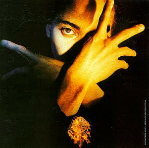 ・アーティスト Terence Trent D'arby ・タイトル Terence Trent D'Arby's Neither Fish Nor Flesh: A Soundtrack Of Love, Faith, Hope, And...