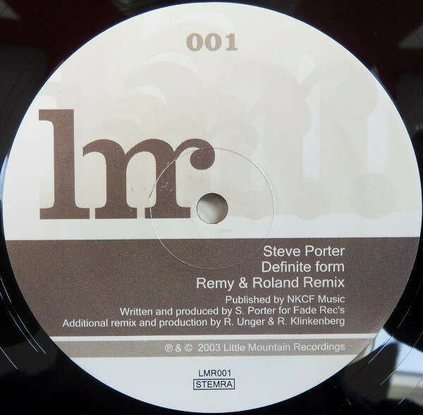 ・アーティスト Steve Porter ・タイトル Definite Form ・レーベル・型番 Little Mountain Recordings LMR001 ・フォーマット 12インチレコード ・コンディション(盤) 良い (VG...