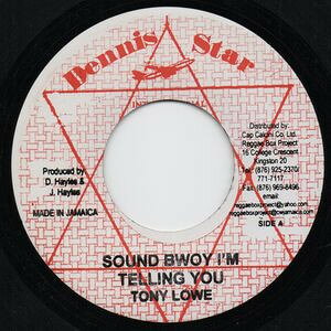 ・アーティスト Tony Lowe (2) ・タイトル Sound Bwoy I'm Telling You ・レーベル・型番 Dennis Star International NONE ・フォーマット 7インチレコード ・コンディション...