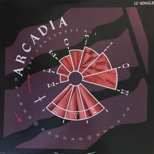 ・アーティスト Arcadia ・タイトル Election Day (The Consensus Mix) ・レーベル・型番 Capitol Records V75123 ・フォーマット 12インチレコード ・コンディション(盤) 非常に...
