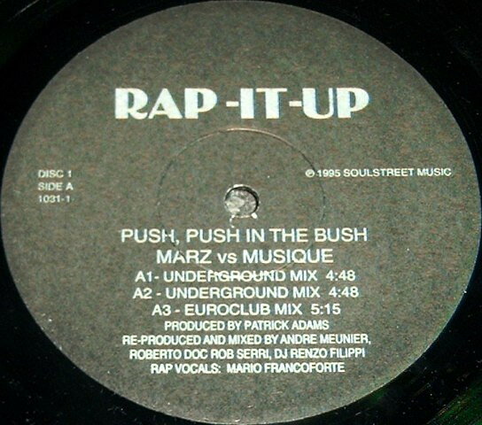 ・アーティスト Marz (4), Musique ・タイトル Push, Push In The Bush ・レーベル・型番 Rap-It-Up 10311 ・フォーマット 12インチレコード ・コンディション(盤) 良い (VG+) ・...