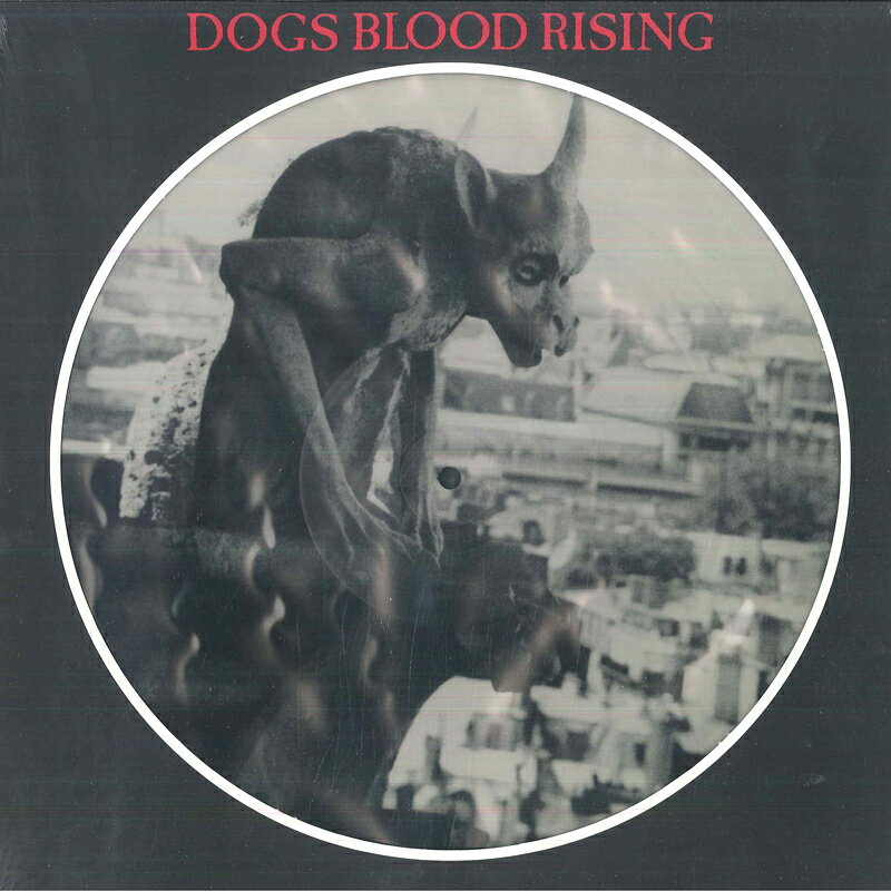 ・アーティスト Current 93 ・タイトル Dogs Blood Rising (Picture Disc) ・レーベル・型番 Cashen's Gap DOARXVI ・フォーマット LPレコード ・コンディション(盤) 新品 (M...