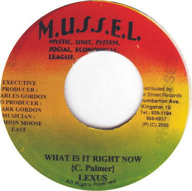 ・アーティスト Lexxus / We-Ken ・タイトル What Is The Right Now / Love It ・レーベル・型番 M.U.S.S.E.L. NONE ・フォーマット 7インチレコード ・コンディション(盤) 良い...