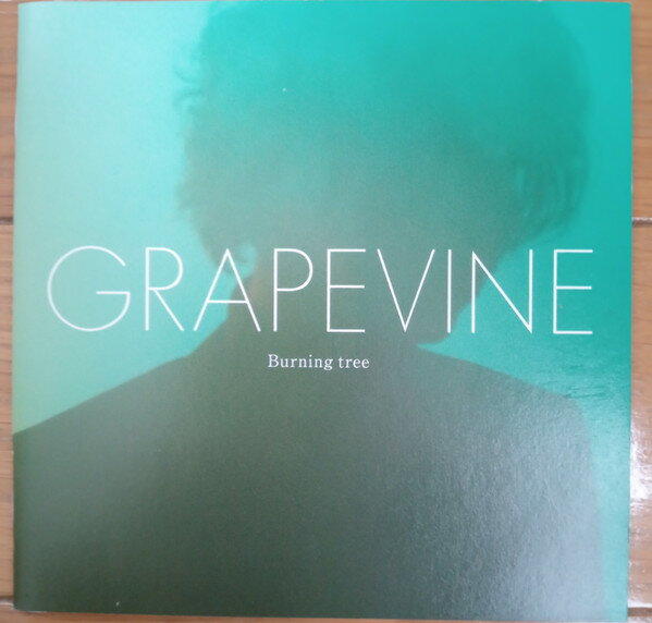 ・アーティスト GRAPEVINE ・タイトル Burning tree (初回限定盤)(CD+DVD) ・レーベル・型番 SPEEDSTAR VIZL756 ・フォーマット CD ・コンディション(盤) 良い (VG+) ・コンディション...