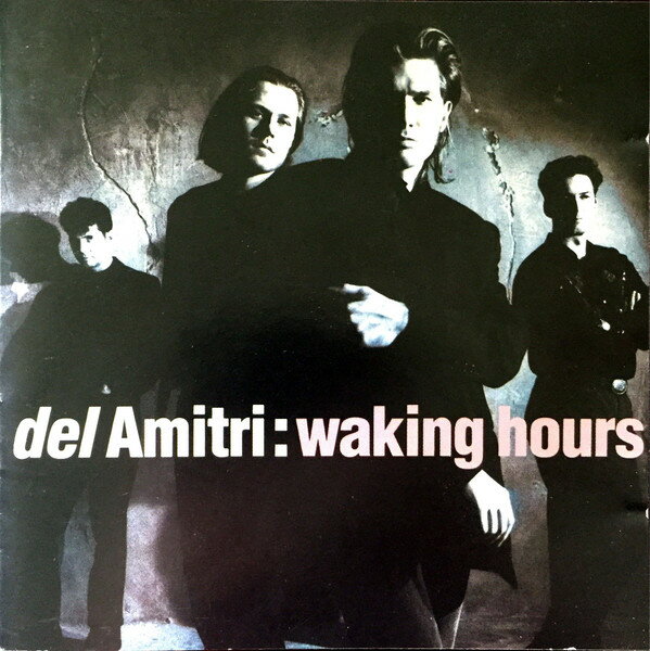 ・アーティスト Del Amitri ・タイトル Waking Hours ・レーベル・型番 A&M Records CDA9006 ・フォーマット CD ・コンディション(盤) 良い (VG+) ・コンディション(ジャケット) ・コンディ...