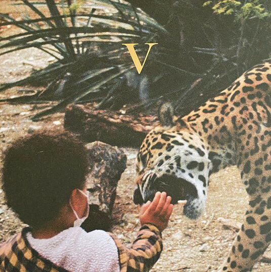 ・アーティスト Unknown Mortal Orchestra ・タイトル V ・レーベル・型番 Jagjaguwar JAG422 ・フォーマット LPレコード ・コンディション(盤) 新品 (M) ・コンディション(ジャケット) 新品...