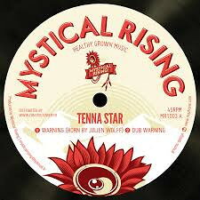 ・アーティスト Tenna Star / Mystical Rising ・タイトル Warning / Hail Spirit ・レーベル・型番 Mystical Rising MR1203 ・フォーマット 12インチレコード ・コンディ...