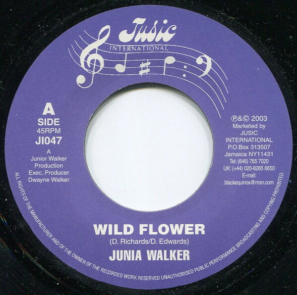 ・アーティスト Junia Walker / Junia Walker Allstars ・タイトル Wild Flower / Lady Liberty Dub ・レーベル・型番 Jusic International JI047 ・フォ...