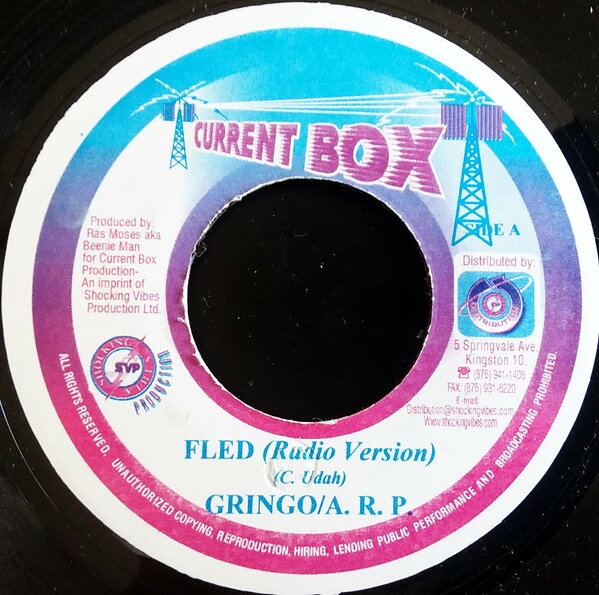 ・アーティスト Gringo/ A.R.P. ・タイトル Fled / Dead ・レーベル・型番 ・フォーマット 7インチレコード ・コンディション(盤) 良い (VG+) ・コンディション(ジャケット) プレインカバー（元ジャケット／カ...