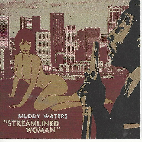 ・アーティスト Muddy Waters ・タイトル Streamlined Woman ・レーベル・型番 Catfish Records KATCD177 ・フォーマット CD ・コンディション(盤) 良い (VG+) ・コンディション(...
