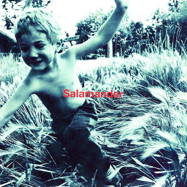 ・アーティスト ELLEGARDEN ・タイトル Salamander ・レーベル・型番 Dynamord Label ZEDY1010 ・フォーマット CD ・コンディション(盤) ほぼ新品 (M-) ・コンディション(ジャケット) ・コ...