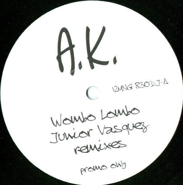 ・アーティスト Ang?lique Kidjo ・タイトル Wombo Lombo (Junior Vasquez Remixes) ・レーベル・型番 Mango 12MNG830DJPROMO ・フォーマット 12インチレコード ・コンデ...
